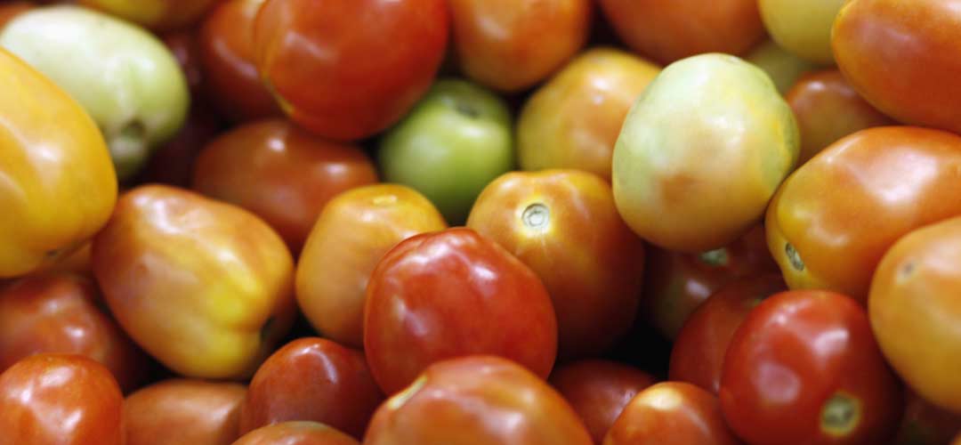 How To Hydroponic Garden - In A Few (Simple) Steps