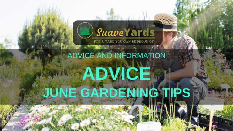 June Gardening Tips - Get Your Garden Summer Ready!