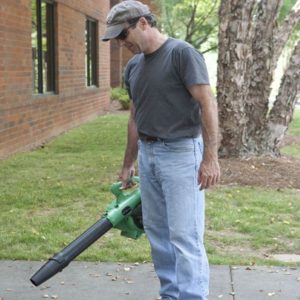 Hitachi RB24EAP Leaf Blower Review - Brilliant Budget Blower