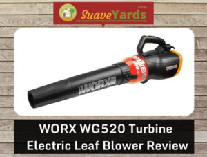 WORX WG520 Turbine Leaf Blower Review - Insane Power!