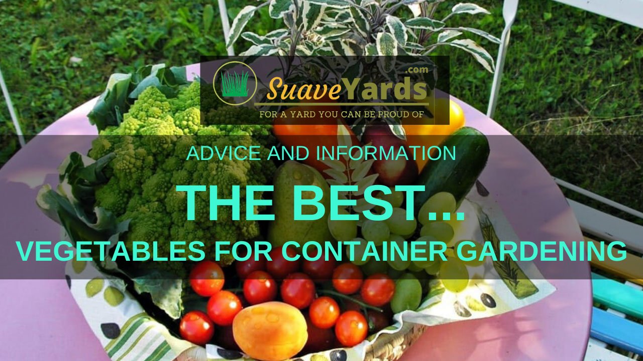 Best Vegetables for Container Gardening: 5 Food Items That are Healthy ...