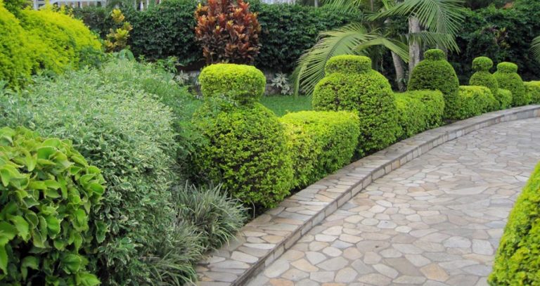 How To Lay Garden Paving: 7 Steps to Transform Your Yard!