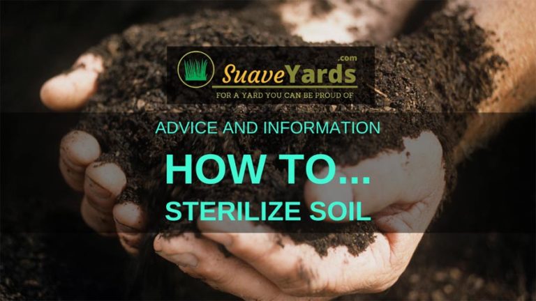 How to Sterilize Soil: 3 Ways to Make Soil Safe for Plants