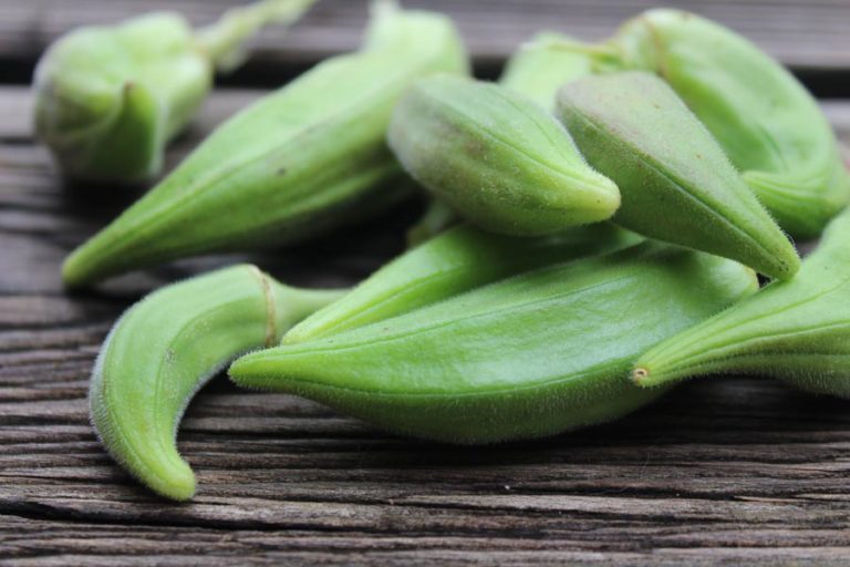 10 of the Best Full-Sun Vegetables to Plant in Your Garden (Revealed)