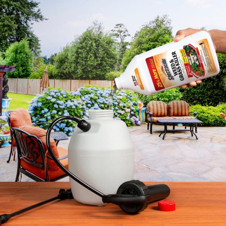 Does Bleach Kill Weeds Revealed