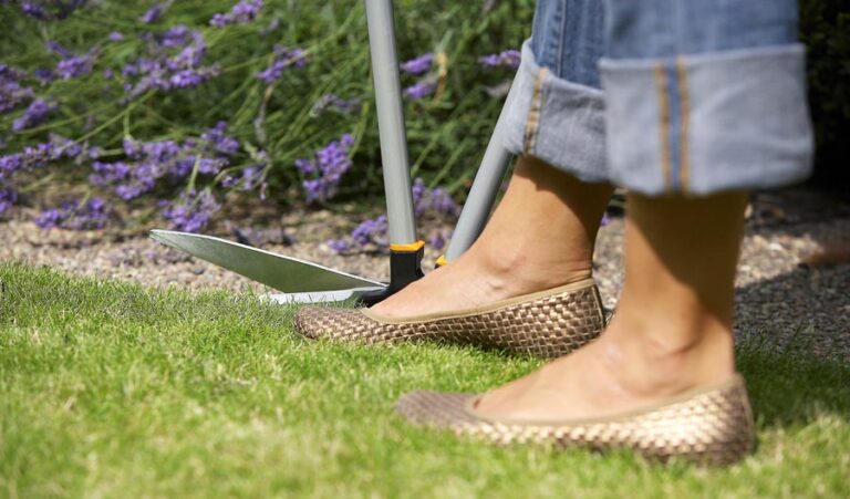 How to Get Rid of Monkey Grass: Everything You Need to Know