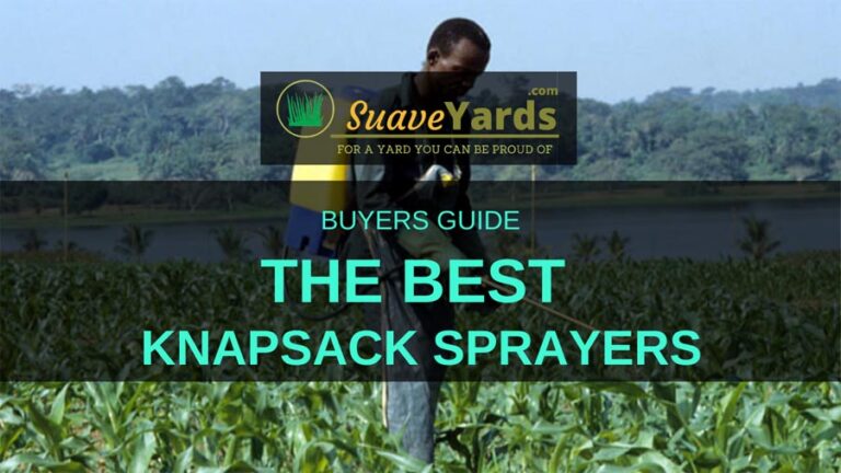 Best Knapsack Sprayers (Explained)