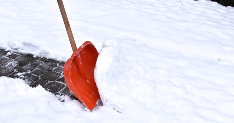 Can You Use A Snow Blower On A Wood Deck? Yes or Snow? (Sorry!)
