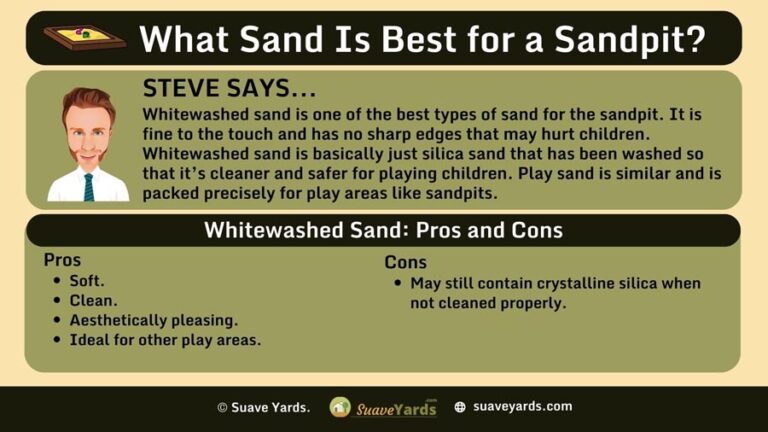 What Sand Is Best for a Sandpit? (Pros and Cons of 8 Types of Sand)