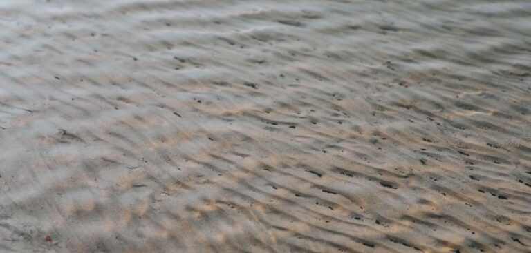 What Sand Is Best for a Sandpit? (Pros and Cons of 8 Types of Sand)